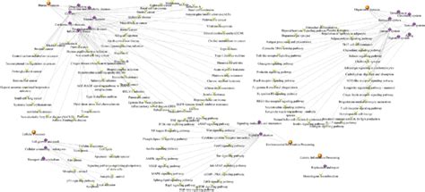 the overview map of functionally grouped network of kegg results