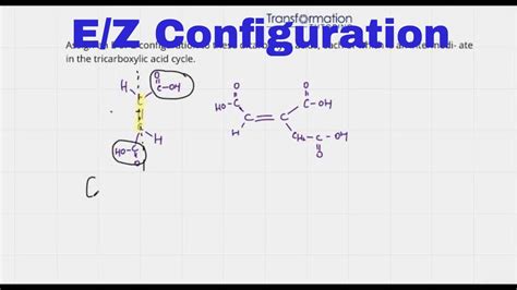 E And Z Configuration Cis Trans And E Z Notation Choose Your Side