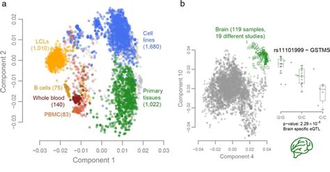 Single Cell Sequencing Library Preparation