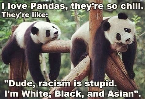 Hey Pandas, Share Some Wholesome Memes (Closed) | Bored Panda