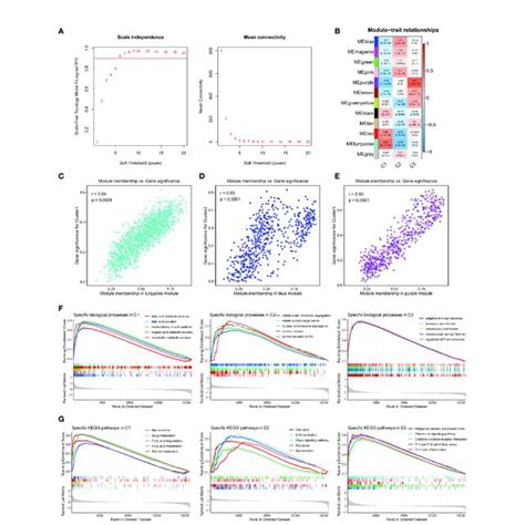 Identification Of Characteristic Genes And Specific Biological Download Scientific Diagram