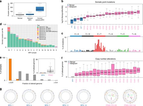 Minimal Genomic Alterations Are Found In Bph Samples A Boxplots Of