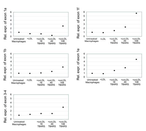 Relative Expression Levels Of The Alternative First Exons Of Cd36 In