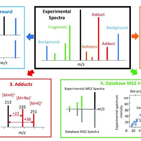 Metabolite Annotation Several Considerations Should Be Accounted For