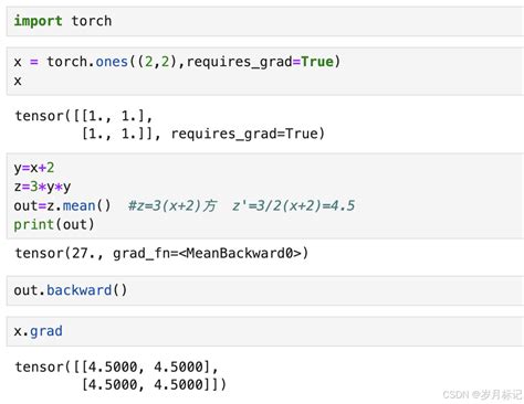 Backward 反向传播 Csdn博客