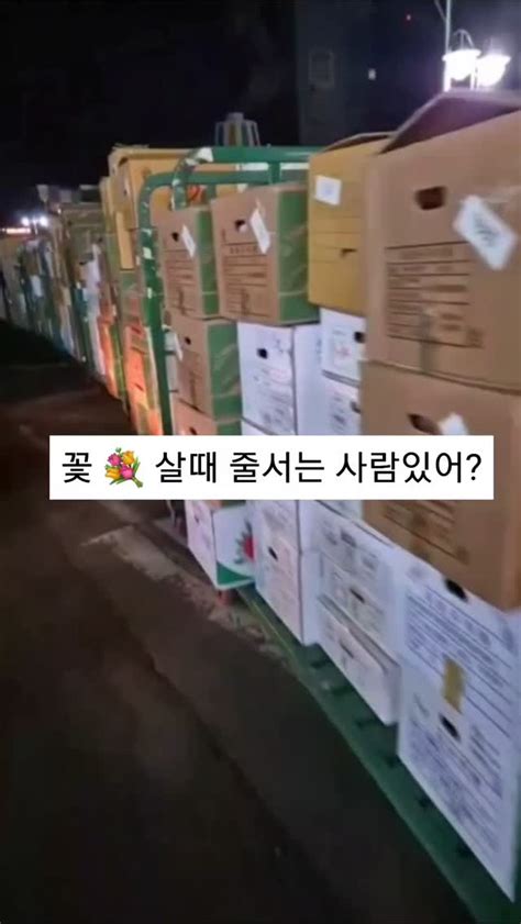 온라인 꽃집 창업코치 생화 위탁판매란 집에서 회사에서 온라인판매만 하세요 포장배송을 모두 해드립니다 망할이유없이 시작한