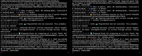 Fork Chain Using Fork Off Substrate Substrate And Polkadot Stack