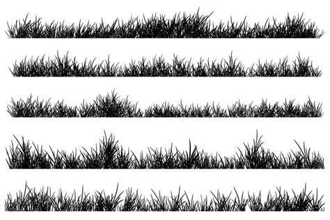 Grass Brush Vector Art Icons And Graphics For Free Download
