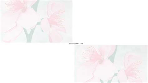 Silvia Felli On Linkedin Illustration