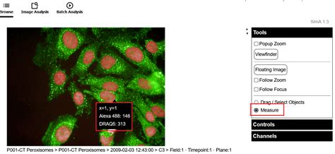 signals image artist i m using the measure tool in the browse and