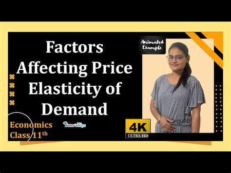 Free Video Lectures of Business Economics Class 11 – Tutor's Tips