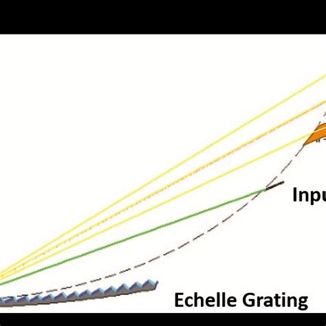 Schematic Of A Photonic Echelle Grating Spectrograph A Ray Download Scientific Diagram