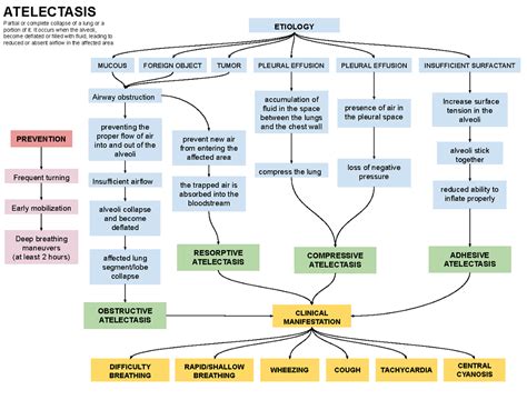 Atelectasis Notes Atelectasis Partial Or Complete Collapse Of A