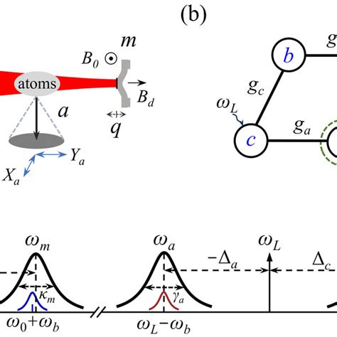 A B Sketch Of The Atom Omm System An Optical Cavity Mode C Download Scientific Diagram