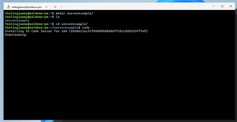 Working With Visual Studio Code On Ubuntu On WSL WSL Ubuntu Community Hub