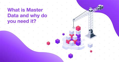What Is Master Data And Why Is The Need To Manage It Growing Laces Hub Laces