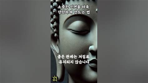 소중한 인연을 더욱 단단하게 만드는 법ㅣ부처님말씀ㅣ석가모니ㅣ명언ㅣ불교ㅣ행복ㅣ마음 명언 자기수행 인생조언 Youtube