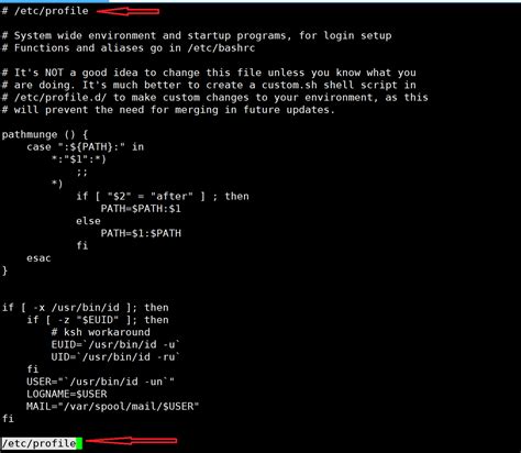 Linux学习篇4——linux文件目录基础指令详解，一篇解释解释文件目录创建、删除、复制、查看等指令操作 Csdn博客