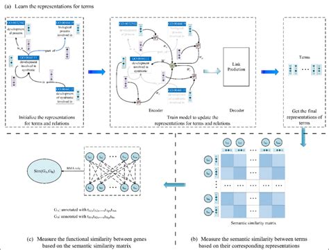 The Framework Of Gogcn A Gogcn Devises A Gcn Based Encoder And A