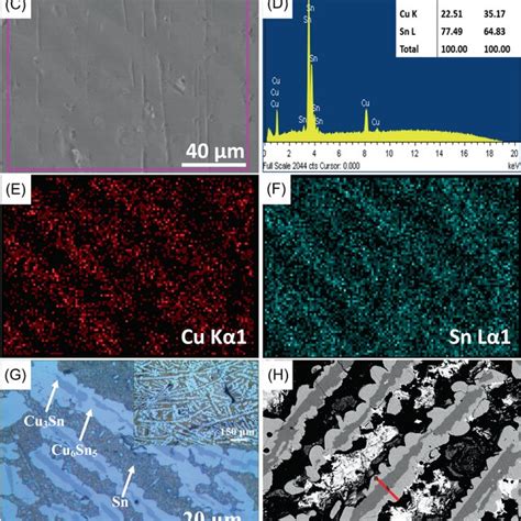 A Equilibrium Phase Diagram Of The Binary Cusn System In Which The Download Scientific