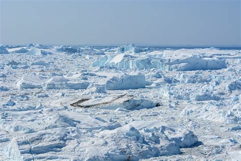 [day9] 그린란드 일루리사트 아이스 피요르드 Icefjord 블루 트레일 Blue Trail 네이버 블로그