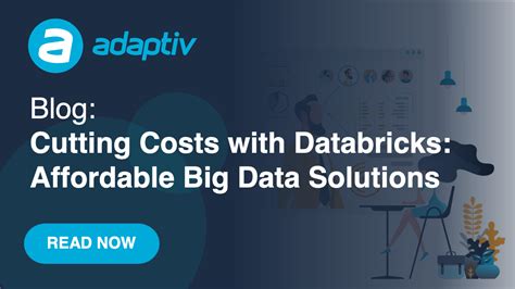 Cutting Costs With Databricks Affordable Big Data Solutions Adaptiv Au
