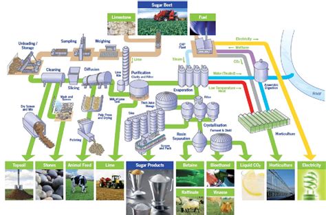 Figure 1 From An Integrated Biorefinery Concept For Conversion Of Sugar Beet Pulp Into Value