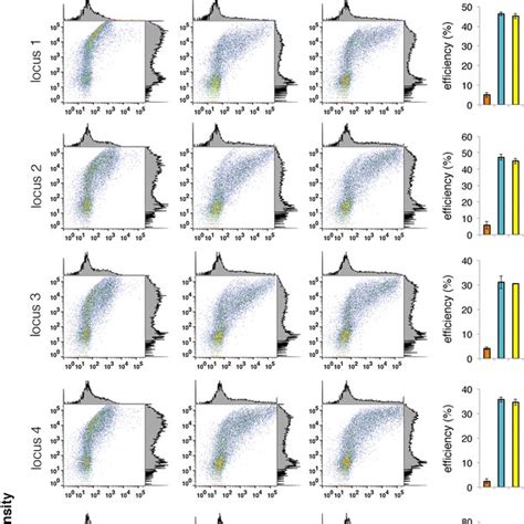 Golden Gate Assembly Of Crispr Grna Expression Array For Simultaneously Download Scientific
