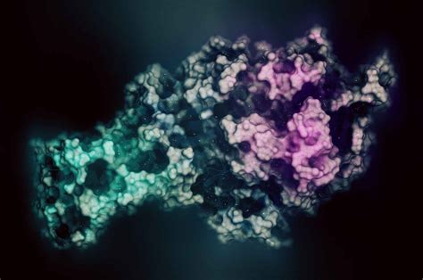 What Role Do Mitochondrial Assays Play In Understanding Cellular Energy