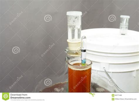 Home Brew Hydrometer Stock Image Image Of Racking Primary