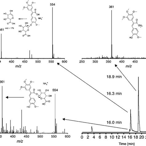Extracted Ion Chromatogram M Z 361 And Esi Mass Spectra Of Ni 12a Download Scientific