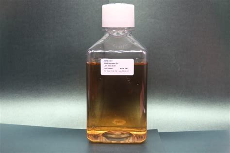 Serum Free Medium For Extracellular Vesicles Galen Molecular