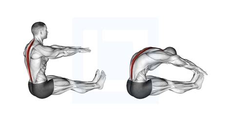 Spine Stretch Guide Benefits And Form