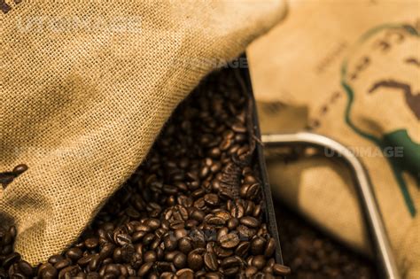 유토이미지 향과 맛이 좋은 아라비카 원두 커피