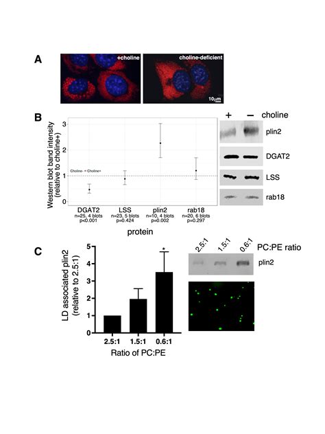 301 Moved Permanently