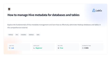 How To Manage Hive Metadata For Databases And Tables Labex