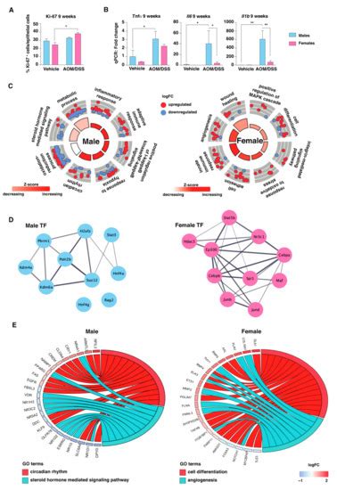 Ijms Special Issue Immunity And Inflammation In Health And Disease