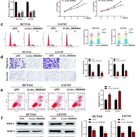 Circ 0068464 Expressions In Colorectal Cancer Tissues And Cells A Download Scientific