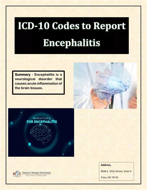 Ppt Icd 10 Codes To Report Encephalitis Powerpoint Presentation Free Download Id 12169612