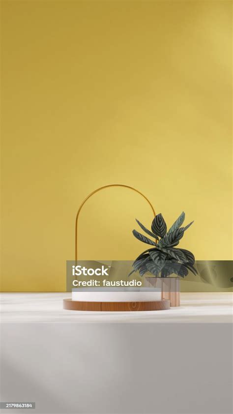 빈 모형 나무 질감 곡선 실린더 연단 초상화 냄비 배경 3d 렌더링 0명에 대한 스톡 사진 및 기타 이미지 0명 3차원 형태 강단 Istock