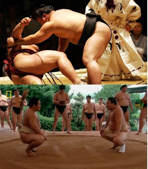 Sumo Porn Porn