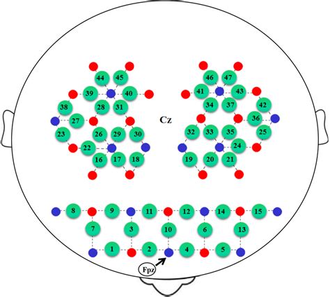 Arrangement Of The Fnirs Probe Array The Red And Blue Dots Represent