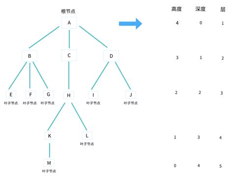 Javascript 数据结构与算法之美 非线性表中的树、堆是干嘛用的 ？其数据结构是怎样的 ？ Csdn博客