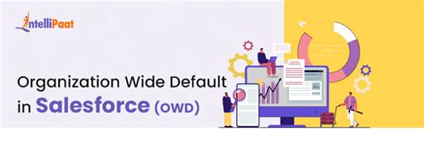 Organization Wide Default Owd In Salesforce Intellipaat