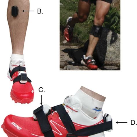 Placement Of The Three Accelerometers Panel A Represents The Download Scientific Diagram