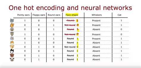 Understanding One Hot Coding Advanced Learning Algorithms DeepLearning AI