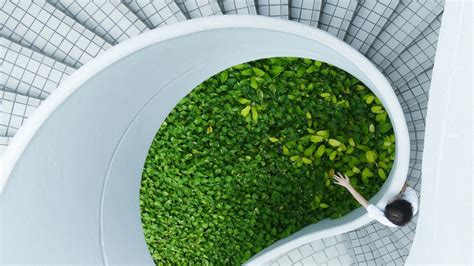 Groundhog Day Loop Constructs Highbrow