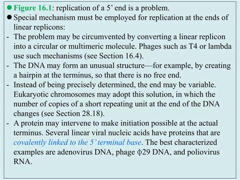 Ppt Chapter 16 Extrachromosomal Replication Powerpoint Presentation Free Download Id 730321