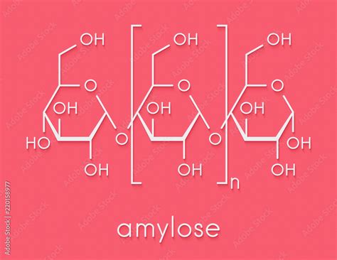 What Is The Chemical Structure Of Starch At Merilyn Tabor Blog