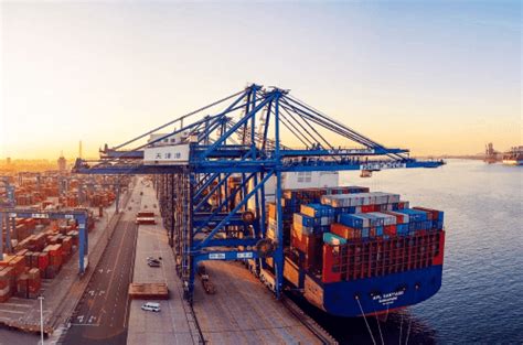 Port Of Tianjin Exceeds 20 Million Teu In 2021 Container News Port Of Tianjin Exceeds 20 Million Teu In 2021 Container News